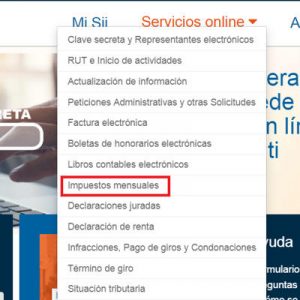 Como llenar el formulario 29 - ComoLlenar.com